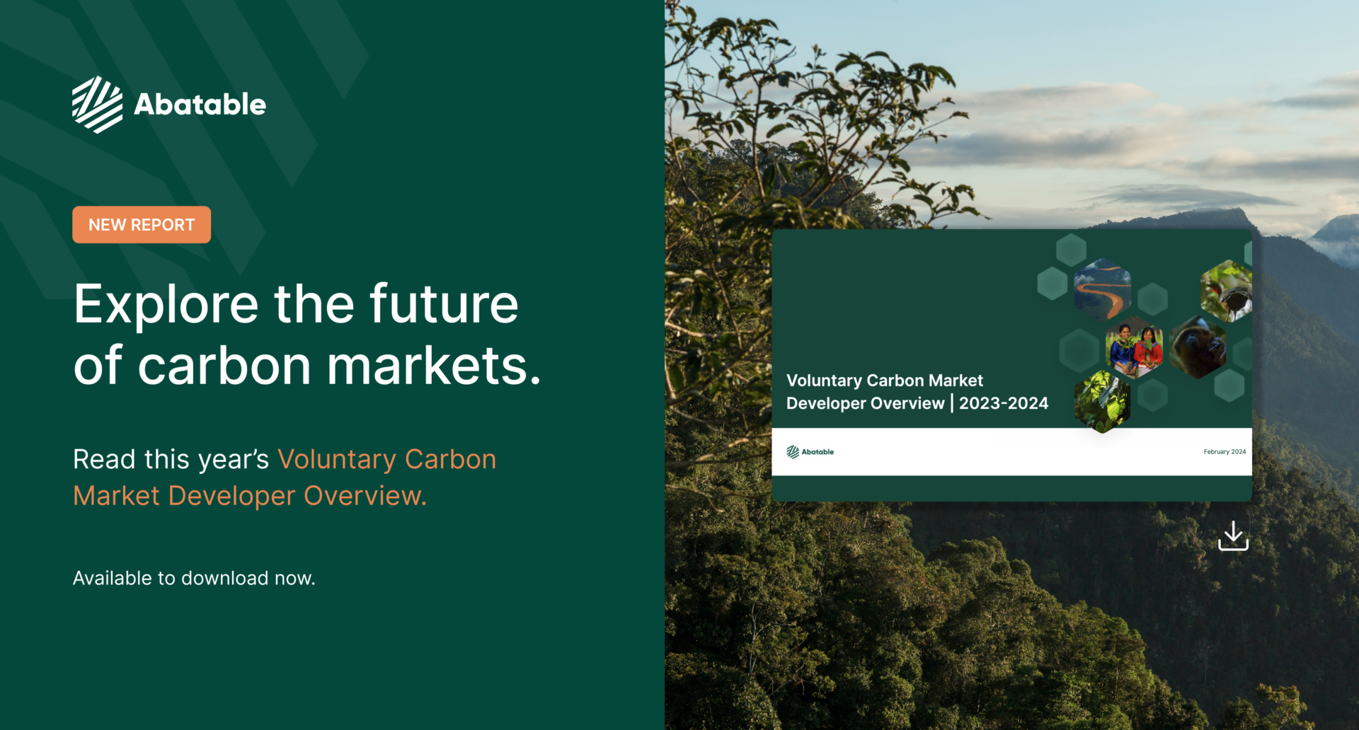 Voluntary Carbon Market Developer Overview | 2023-2024 • Abatable