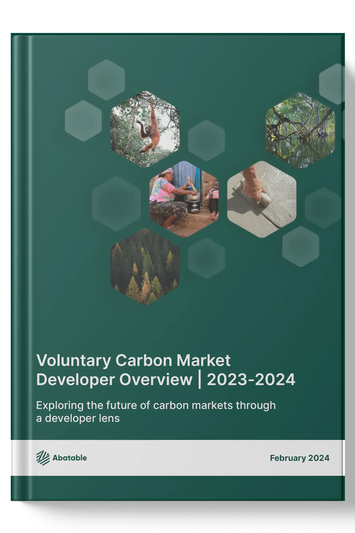 Carbon market intelligence and insights · Abatable