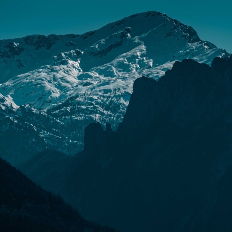 Decoding the VCM in 2024 and beyond • Abatable