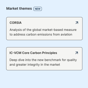 How did carbon credit prices in the VCM change in 2024, and why? • Abatable