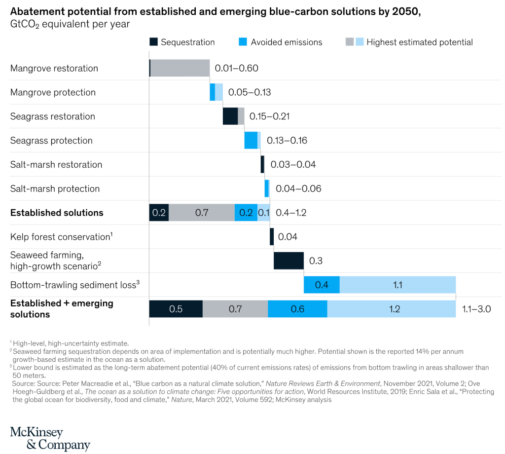 Blue Carbon · Carbon Project Types • Abatable