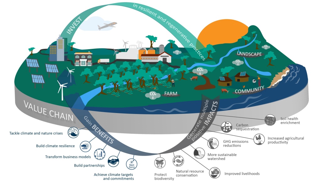 How to tackle Scope 3 emissions in the agricultural value chain • Abatable