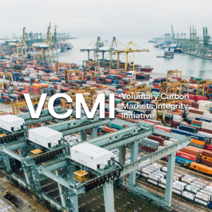 The voluntary carbon market in 2024 – 11 key takeaways