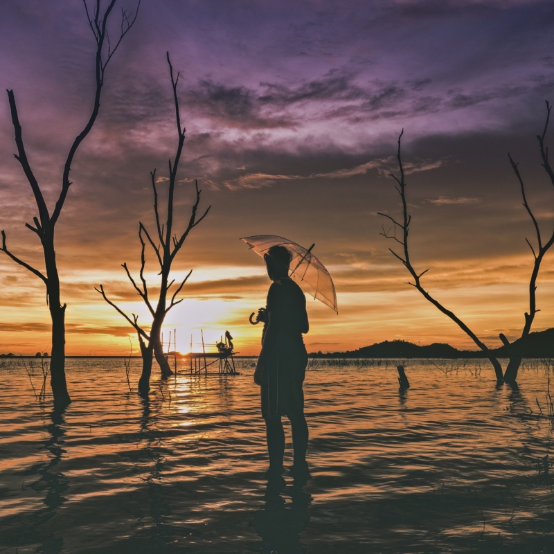 Abatable · End-to-end carbon market solutions