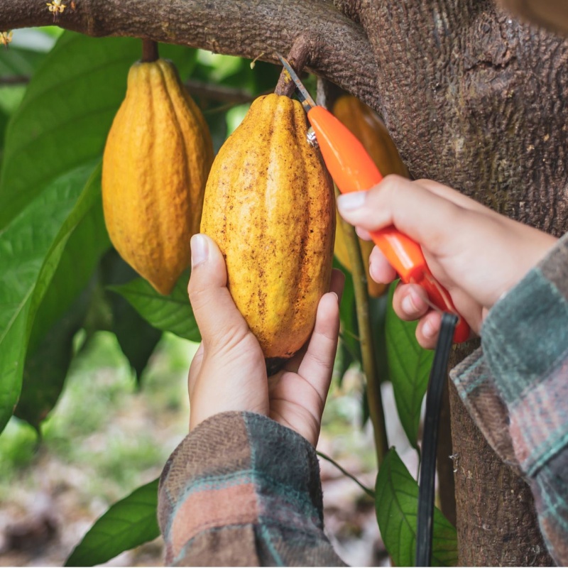 How did carbon credit prices in the VCM change in 2024, and why? • Abatable