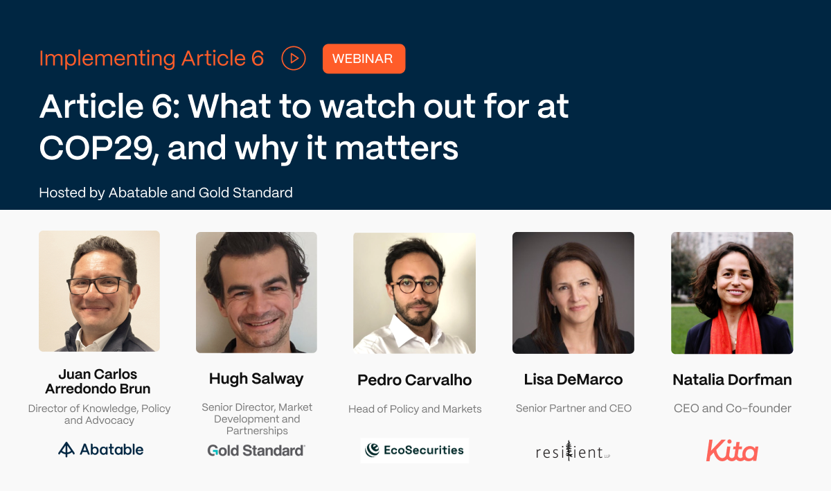 Webinar: Article 6 – what to watch out for at COP29 ∙ Abatable, Gold ...