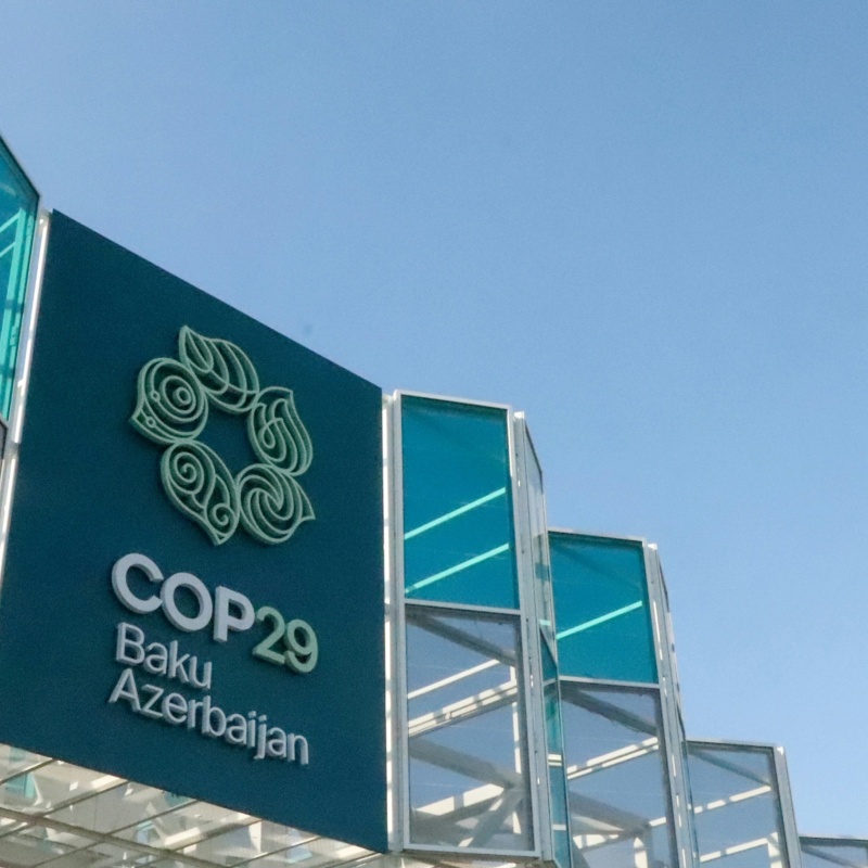 Abatable analysis: What does COP29 mean for Article 6?