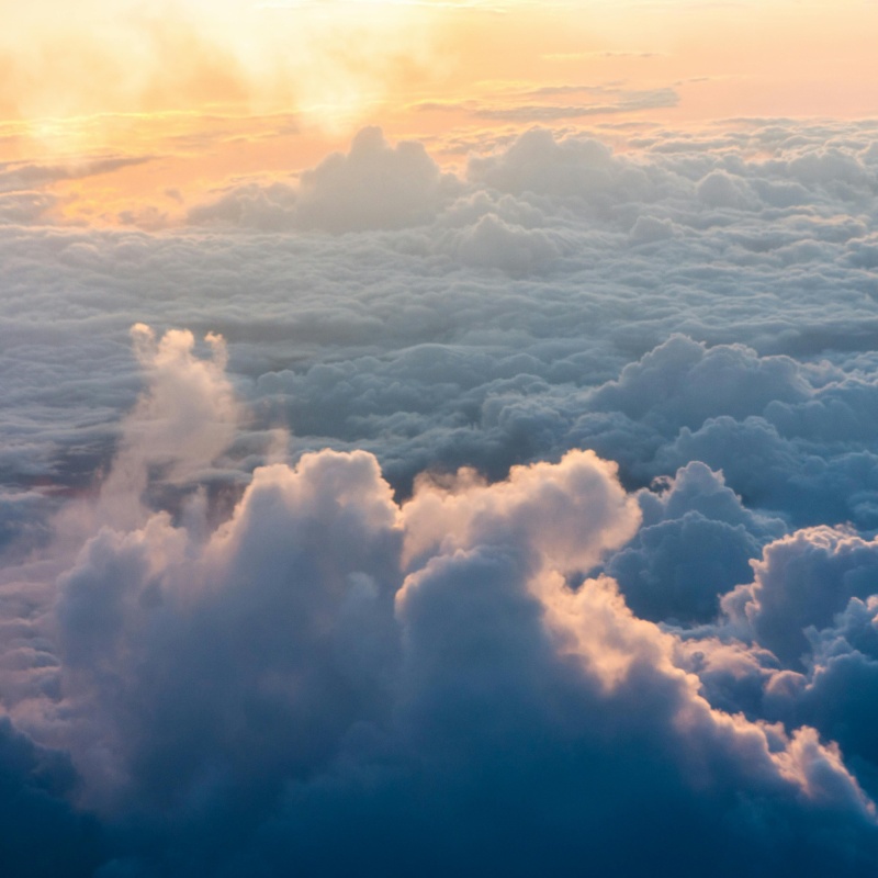 What are the IC-VCM’s Core Carbon Principles? • Abatable