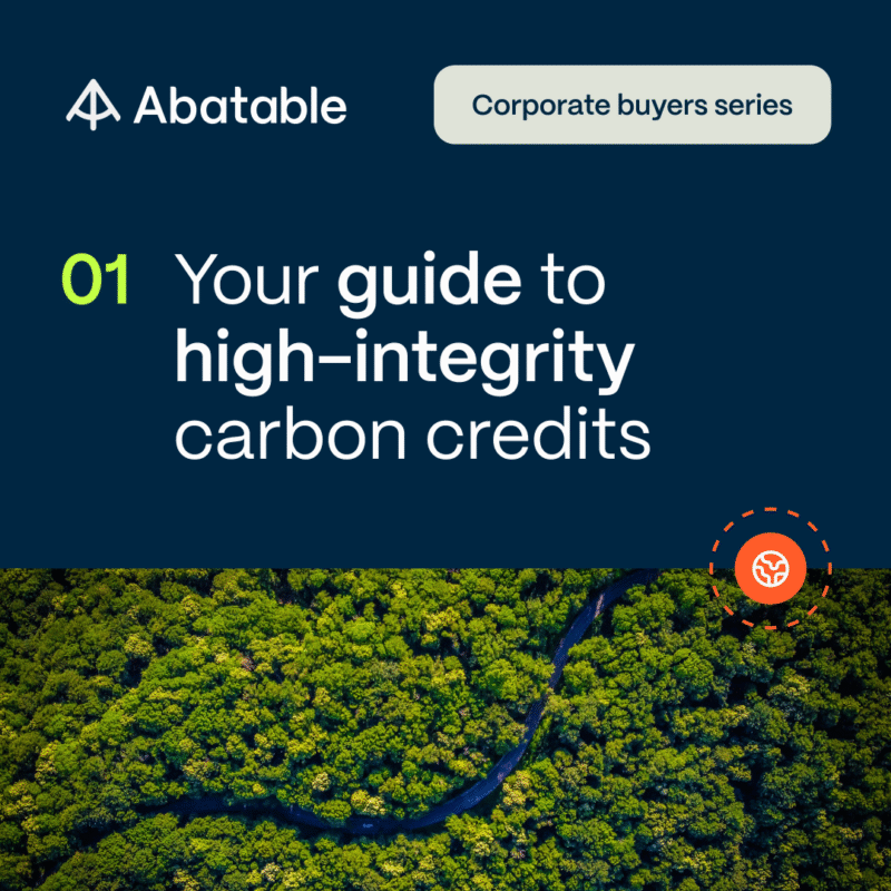How much demand will there be for CORSIA carbon credits?