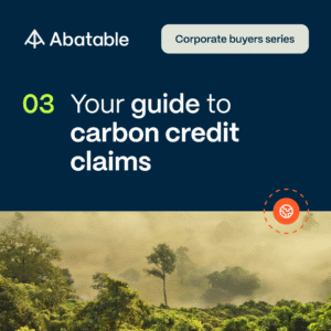 What are the IC-VCM’s Core Carbon Principles? • Abatable