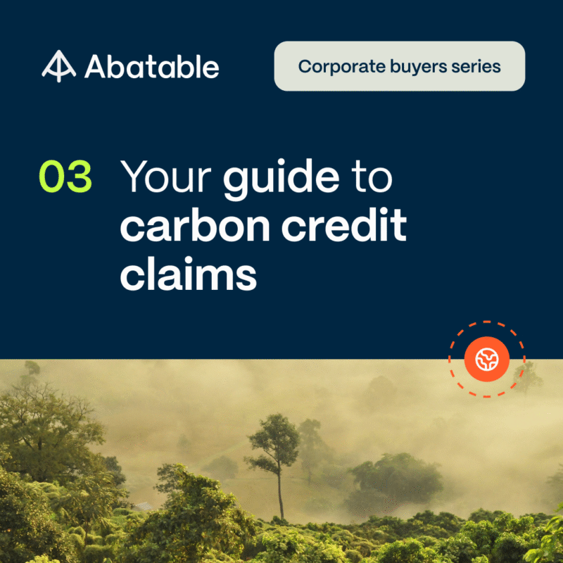 What are the IC-VCM’s Core Carbon Principles? • Abatable