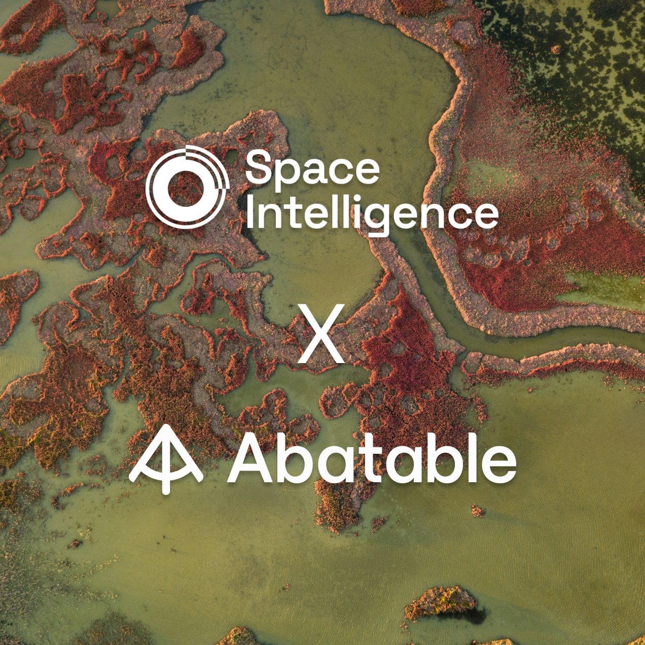 Abatable • Carbon market procurement and intelligence